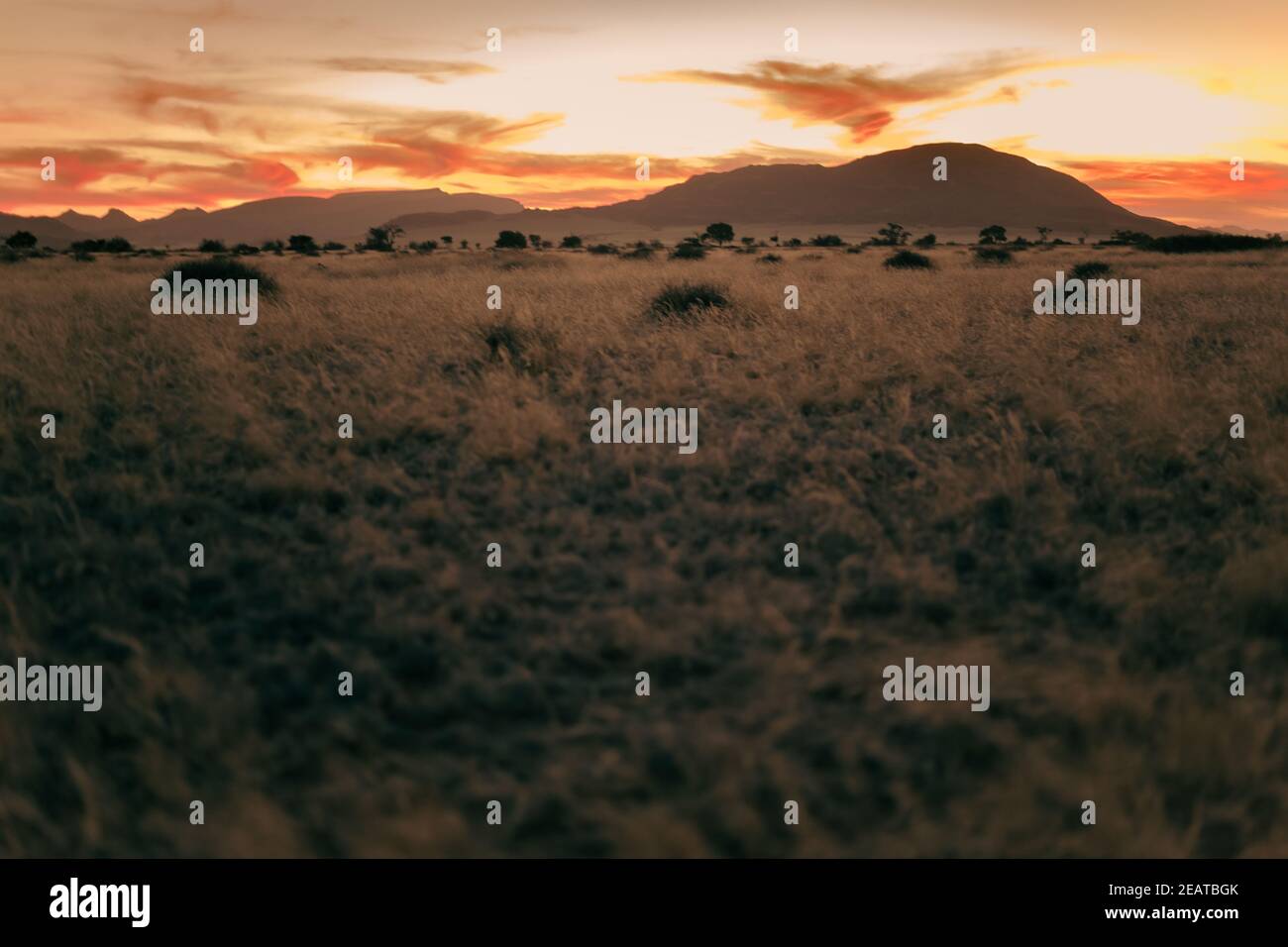 Sunset landscape on grassy plain with mountains in background Stock ...