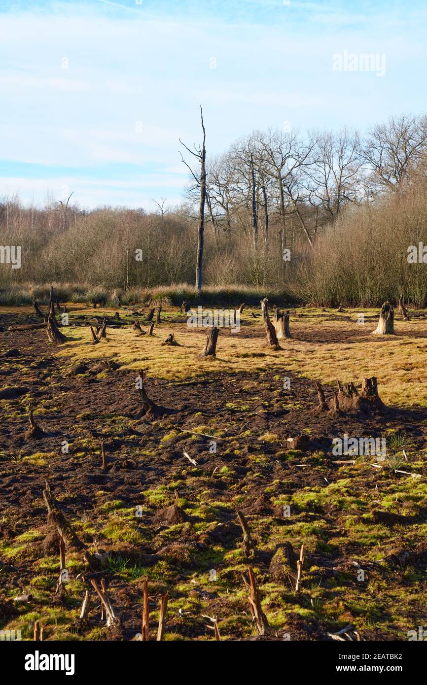 Raised bog pond hi-res stock photography and images - Alamy