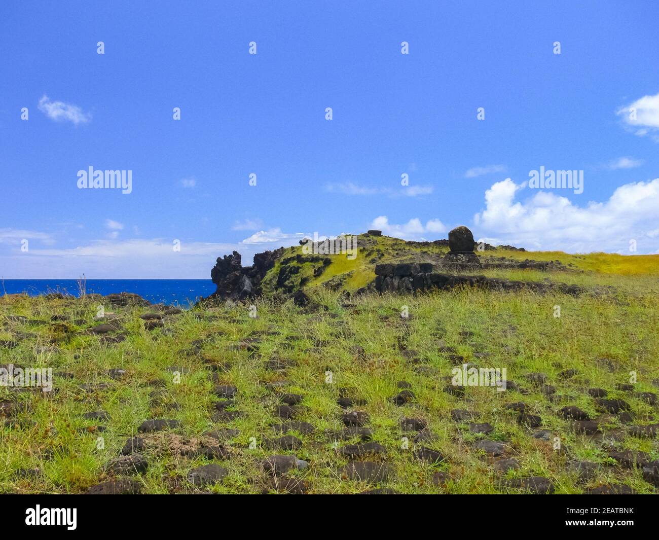 nature of Easter Island, landscape, vegetation and coast Stock Photo ...