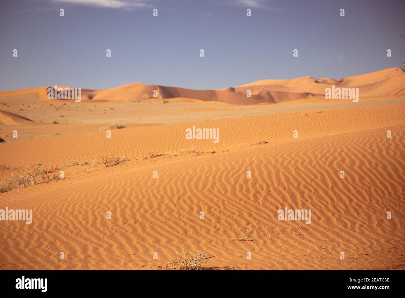 Namibian desert landscape with dramatic warm light Stock Photo - Alamy