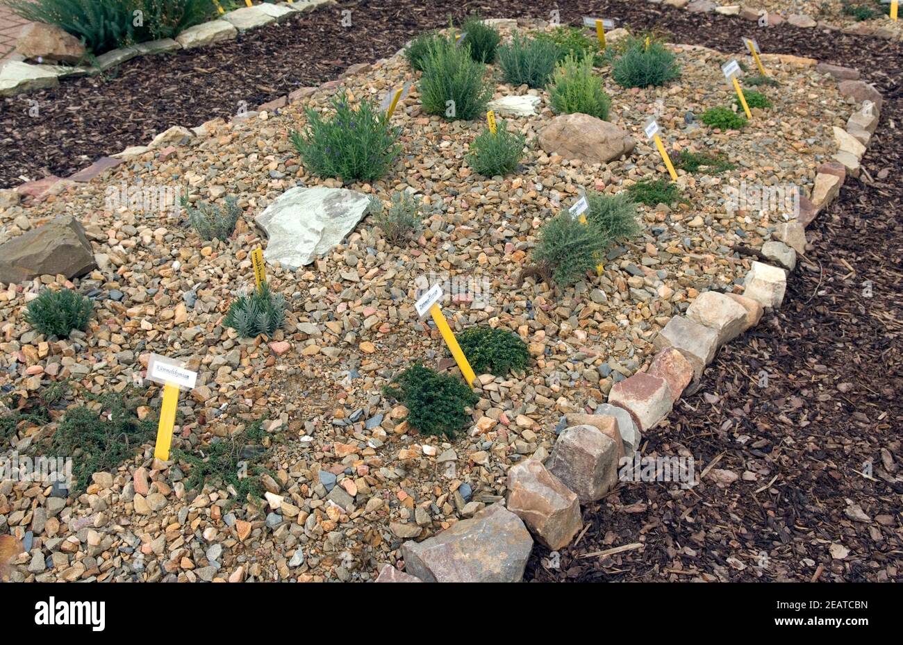 Trockenbeete hi-res stock photography and images - Alamy