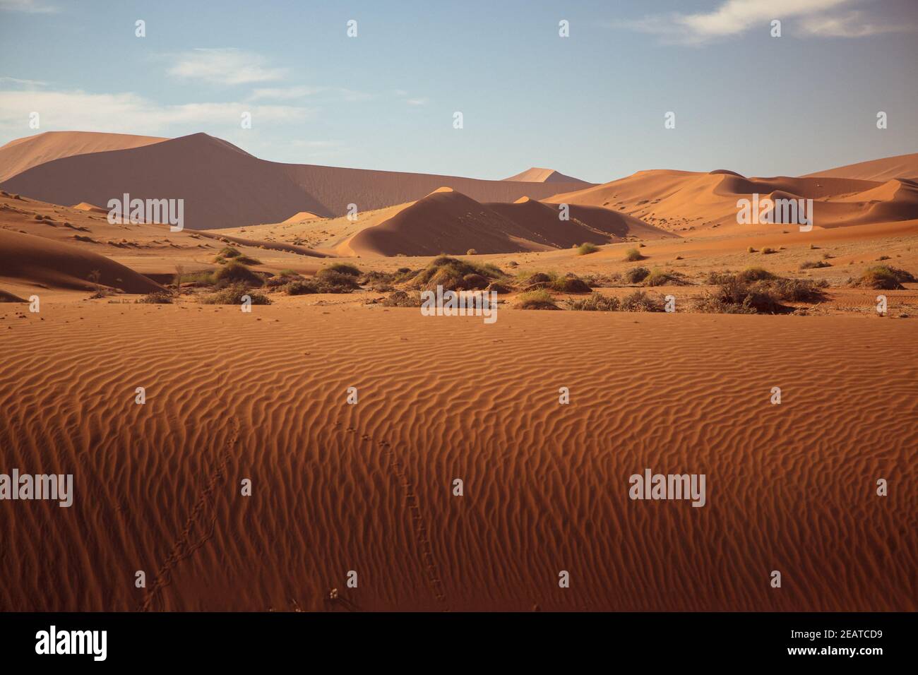 Namibian desert landscape with dramatic warm light Stock Photo - Alamy