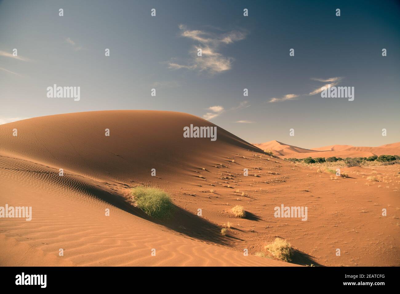 Namibian desert landscape with dramatic warm light Stock Photo - Alamy