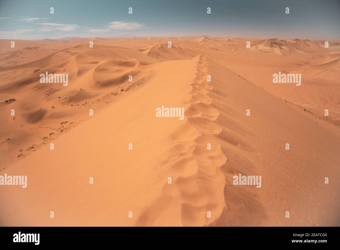 Namibian desert landscape with dramatic warm light Stock Photo - Alamy