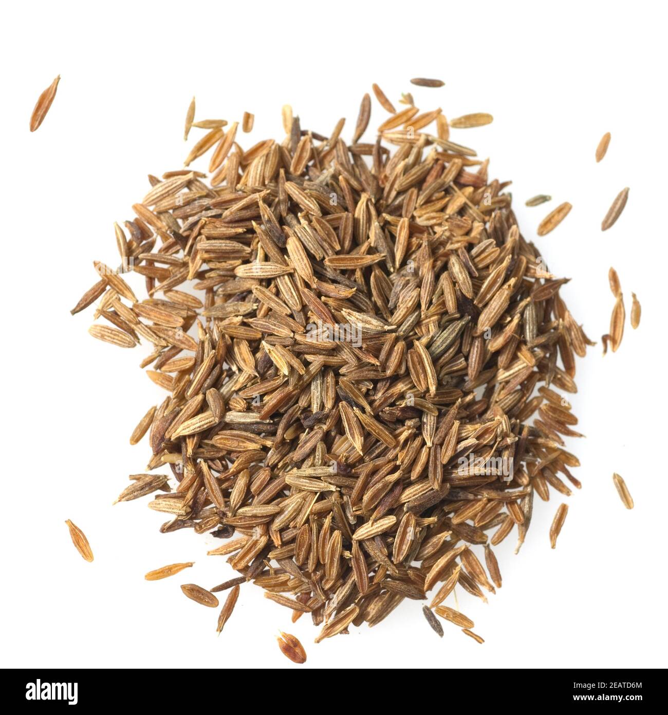 Kreuzkuemmel Cuminum, cyminum, Samen Stock Photo - Alamy