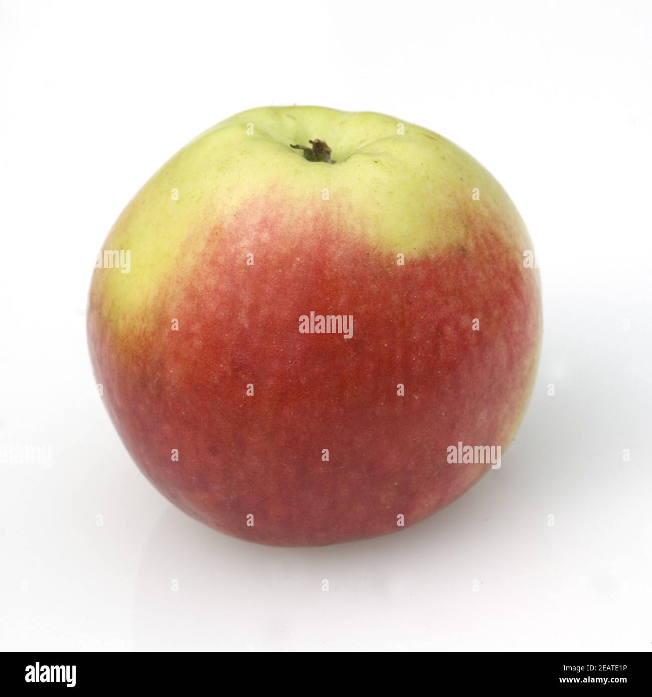 Alte apfelbaeume hi-res stock photography and images - Alamy