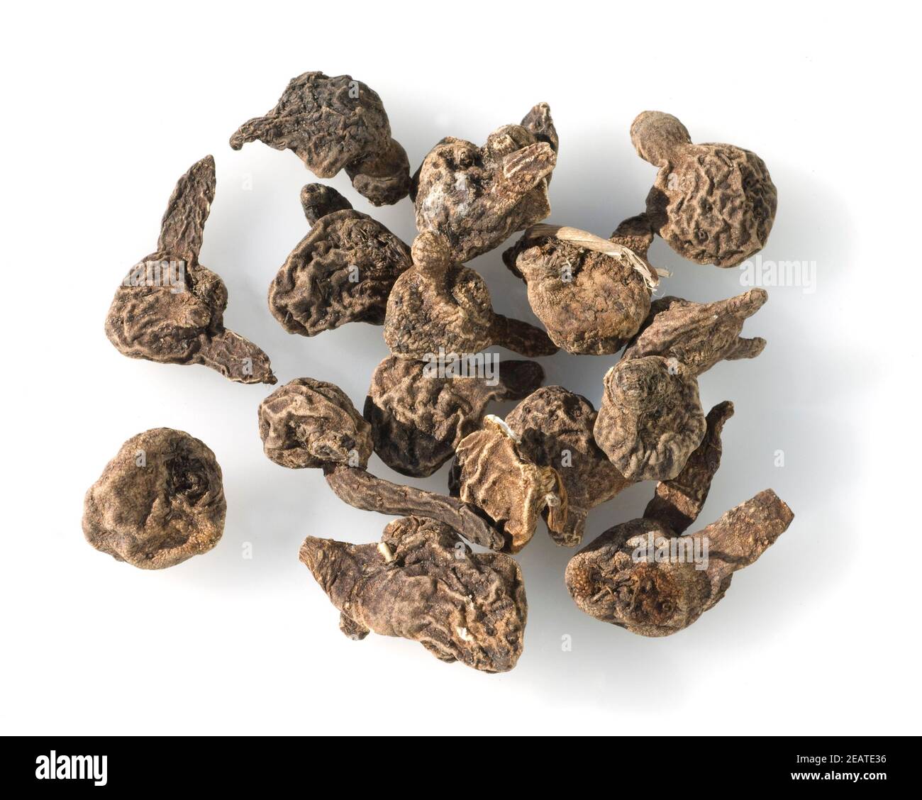 Knollen hi-res stock photography and images - Alamy