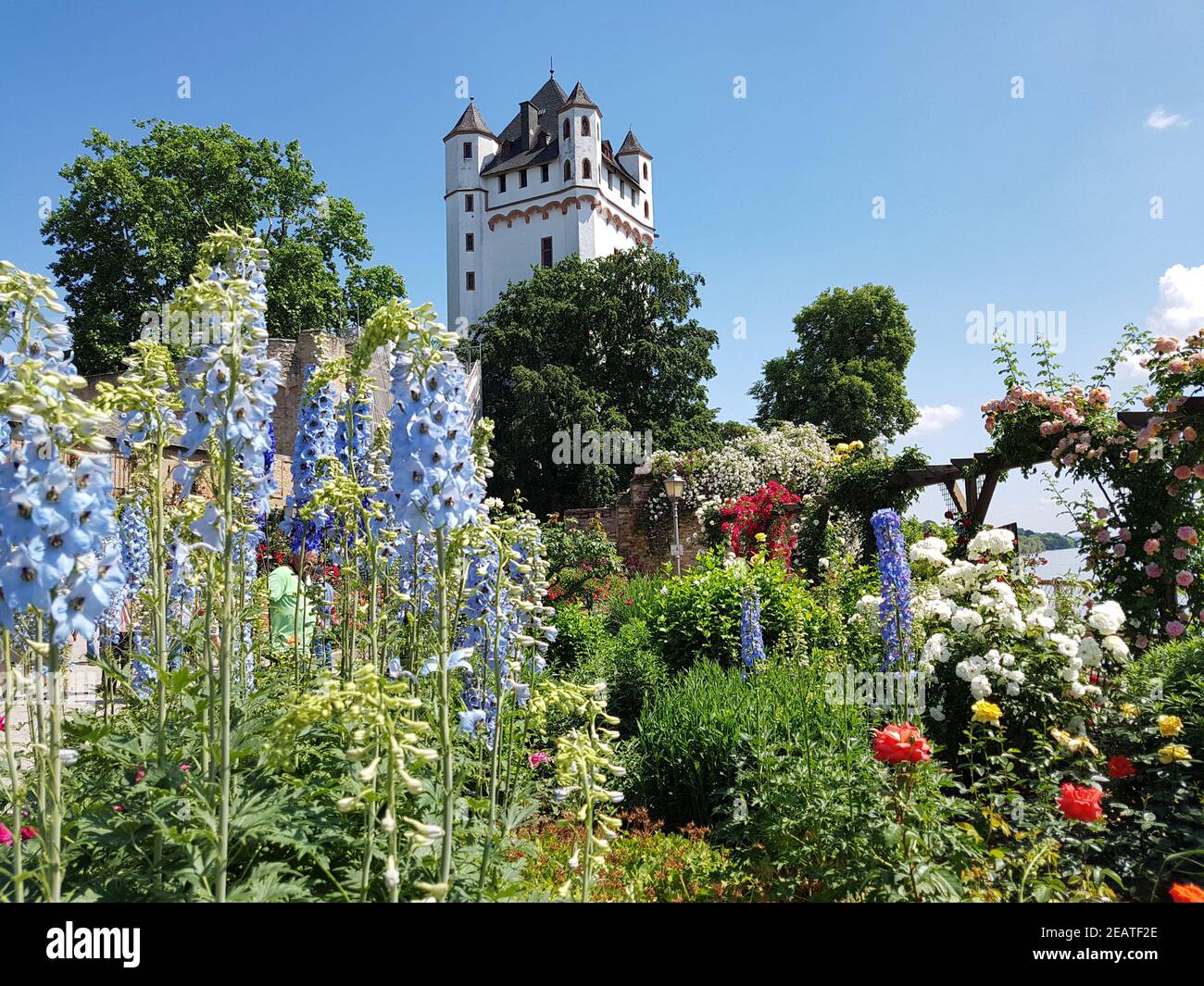 Stadt Eltville High Resolution Stock Photography and Images - Alamy