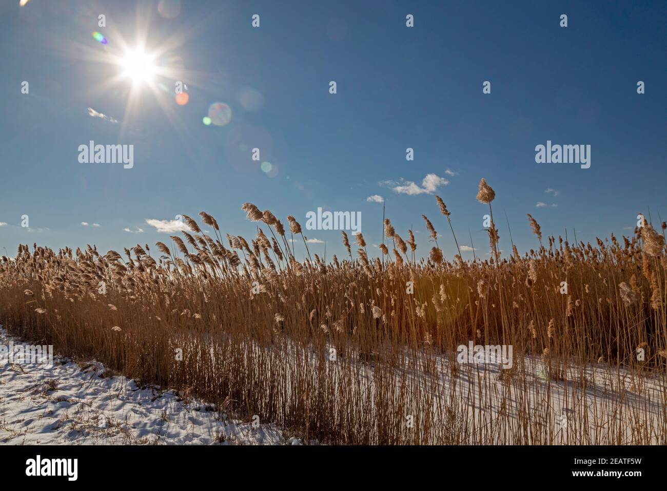 Algonac, Michigan - St. John's Marsh, a wet prairie with hiking and ...