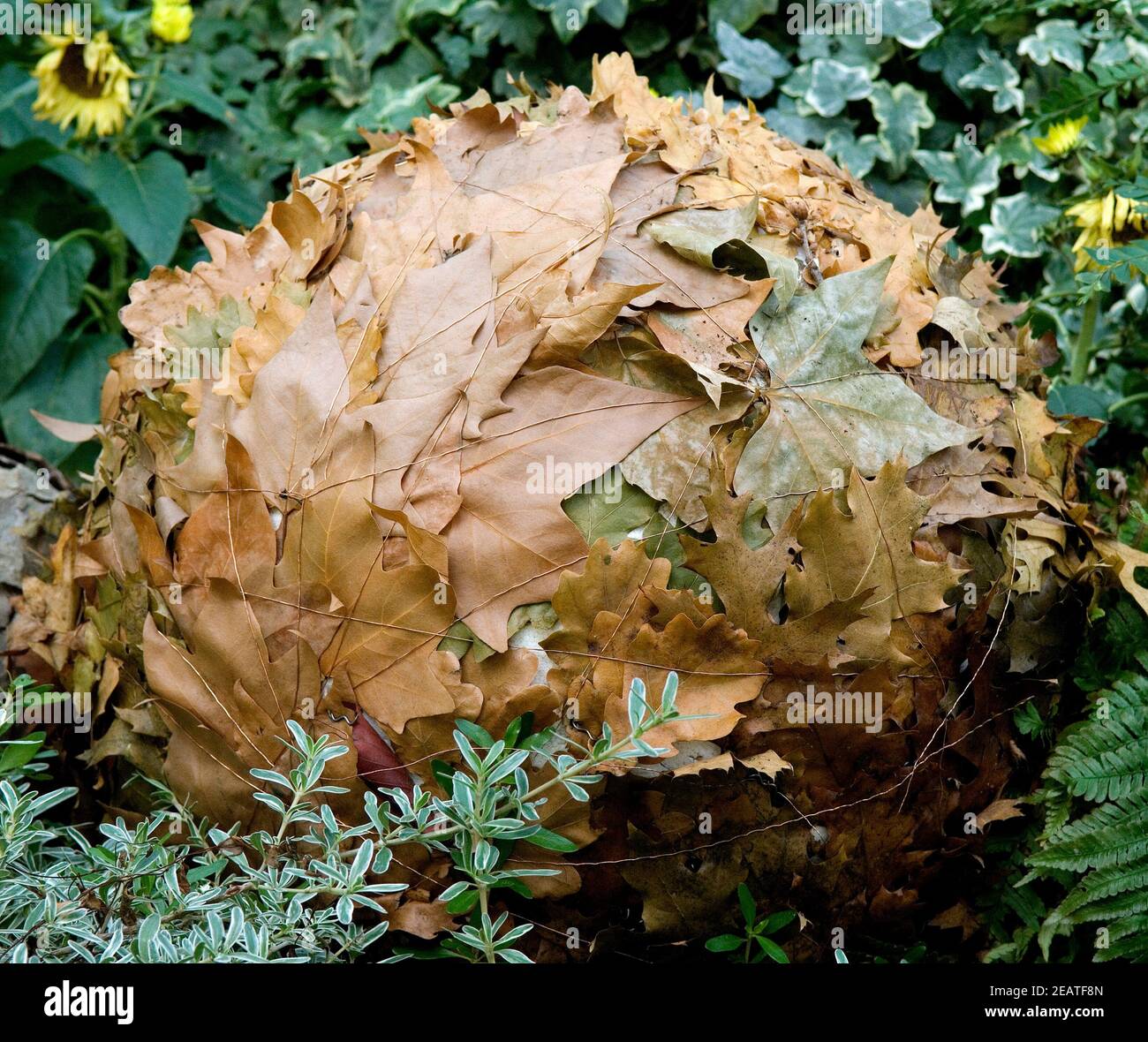 Blaetter hi-res stock photography and images - Alamy