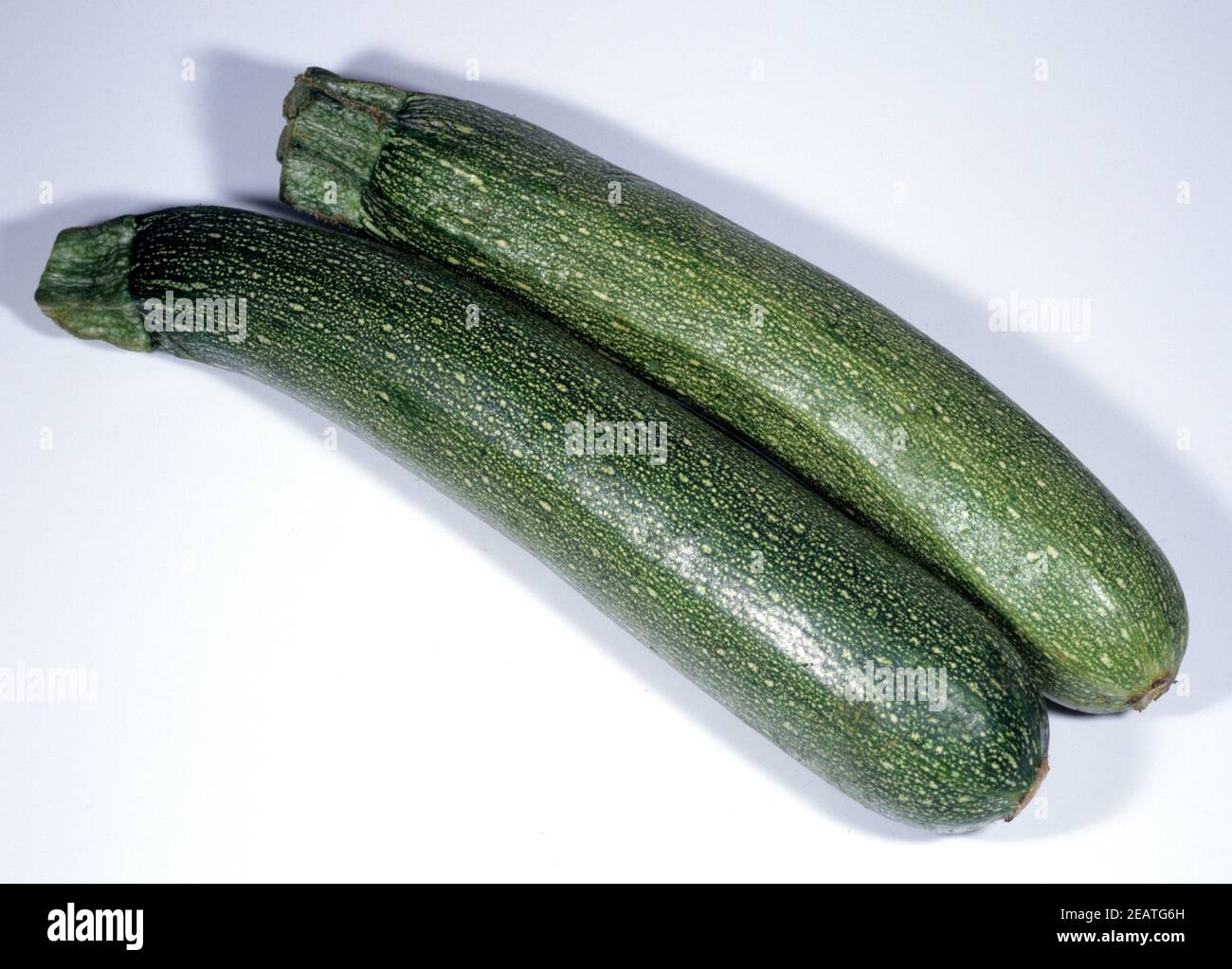 Zucchini ernte hi-res stock photography and images - Alamy