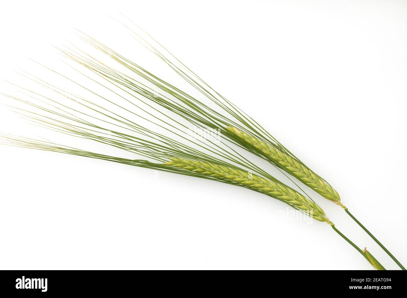 Zweireihige hi-res stock photography and images - Alamy