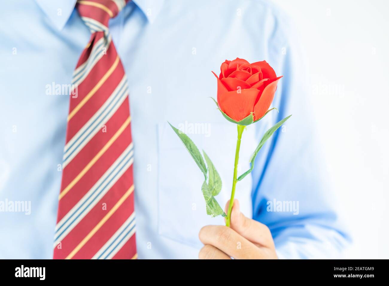 Man holding red rose in hand on white Stock Photo - Alamy