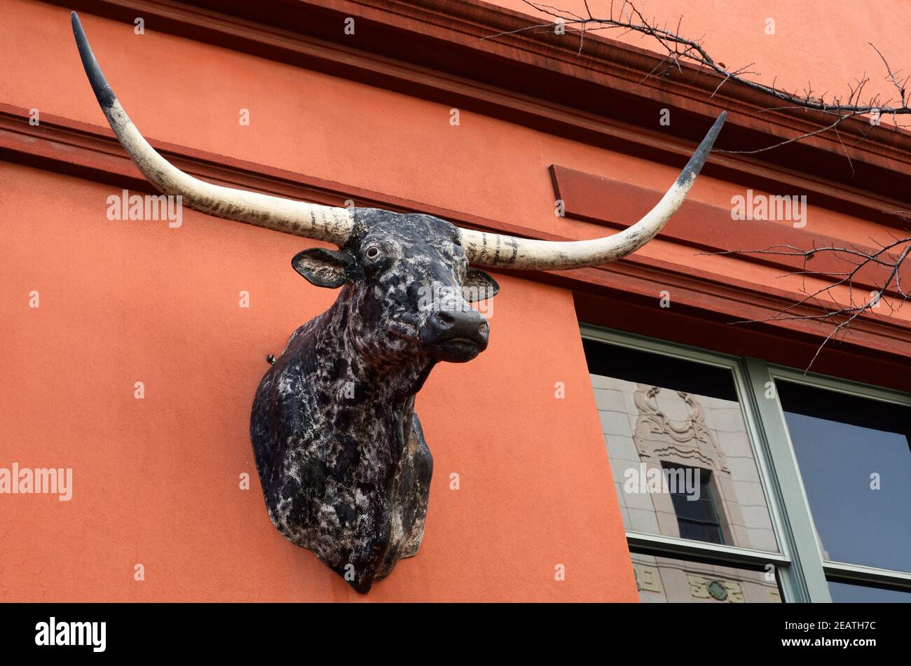 A reproduction head of a Texas longhorn steer decorates the facade of ...