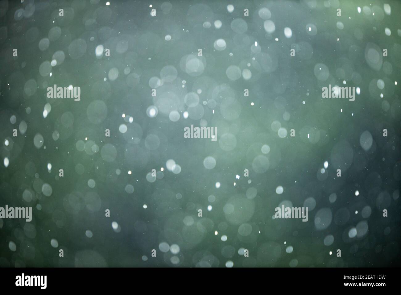 Rain falling from the sky, bringint the very needed humidity to the ...