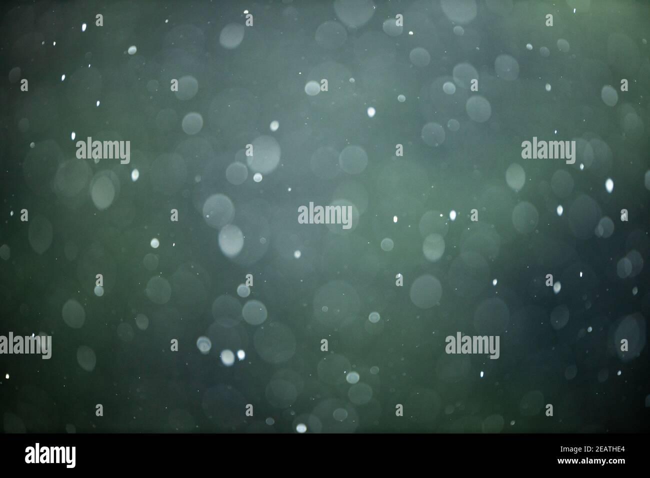 Rain falling from the sky, bringint the very needed humidity to the ...