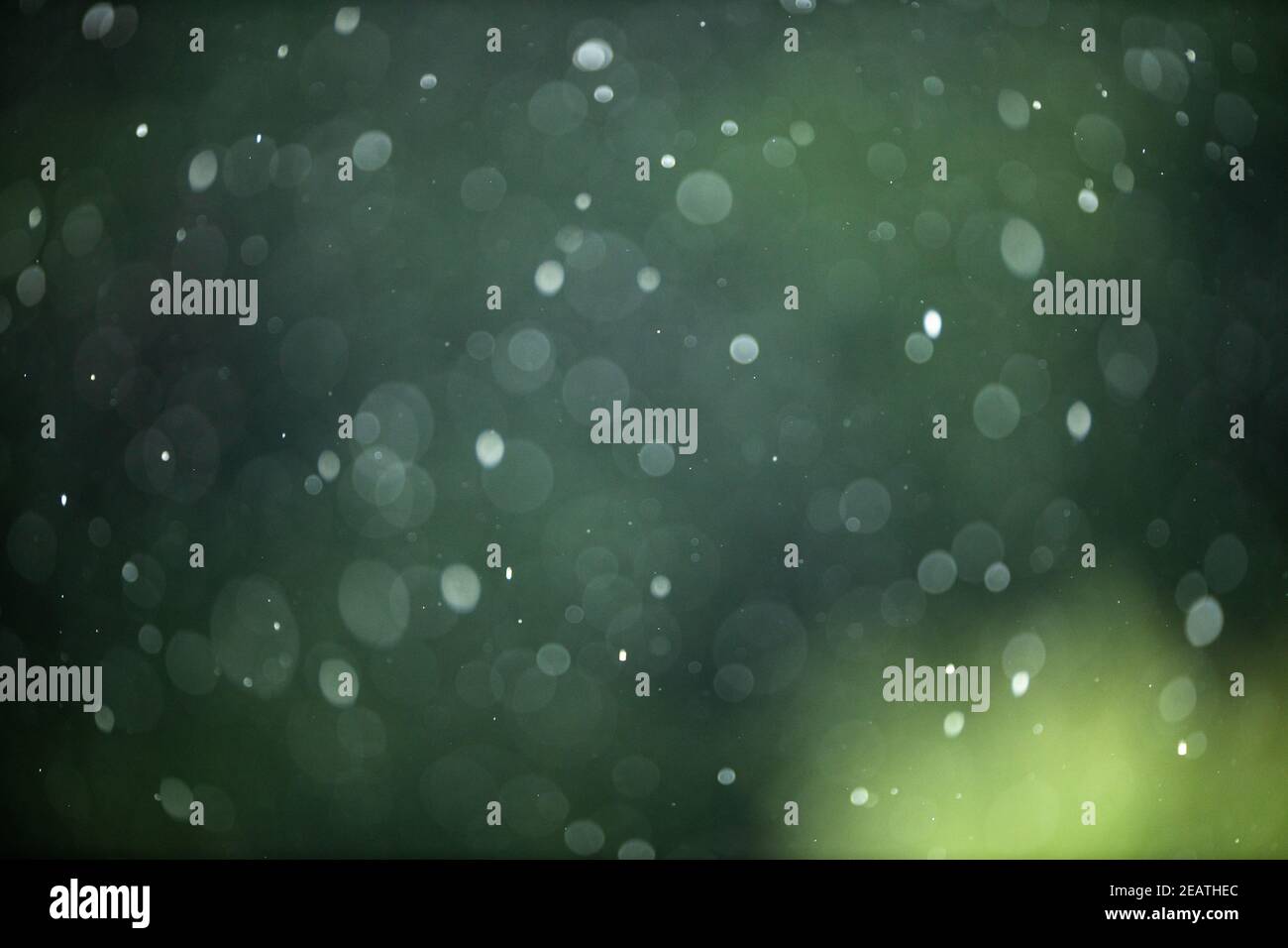 Rain falling from the sky, bringint the very needed humidity to the ...