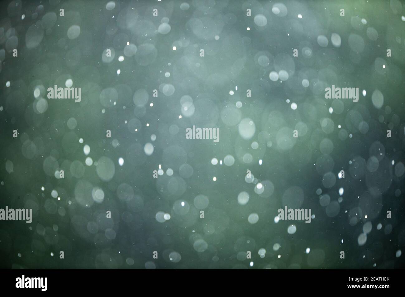 Rain falling from the sky, bringint the very needed humidity to the ...