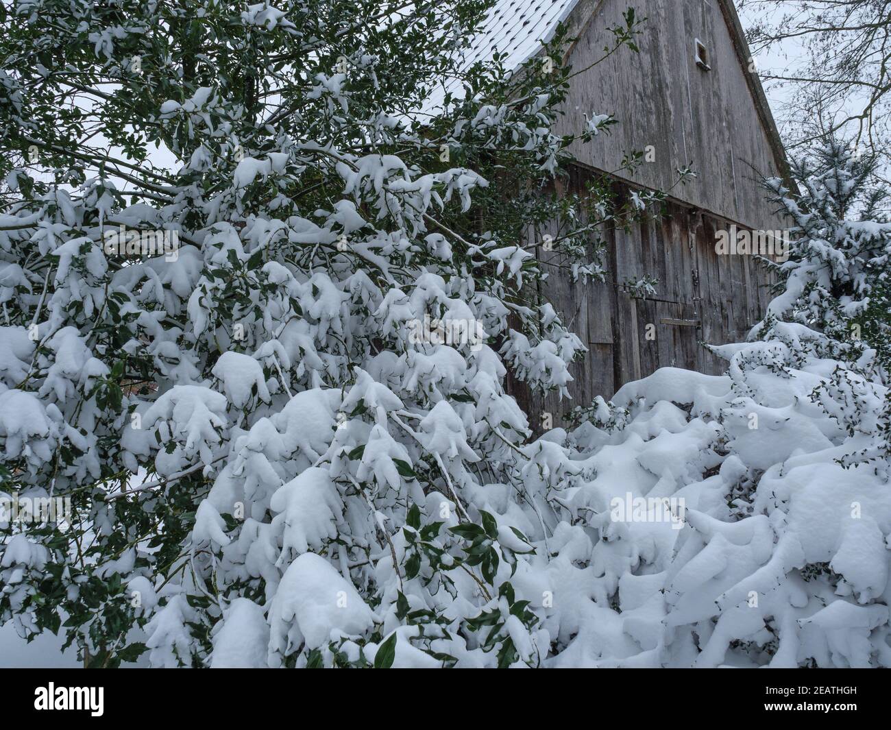 snow in germany Stock Photo - Alamy