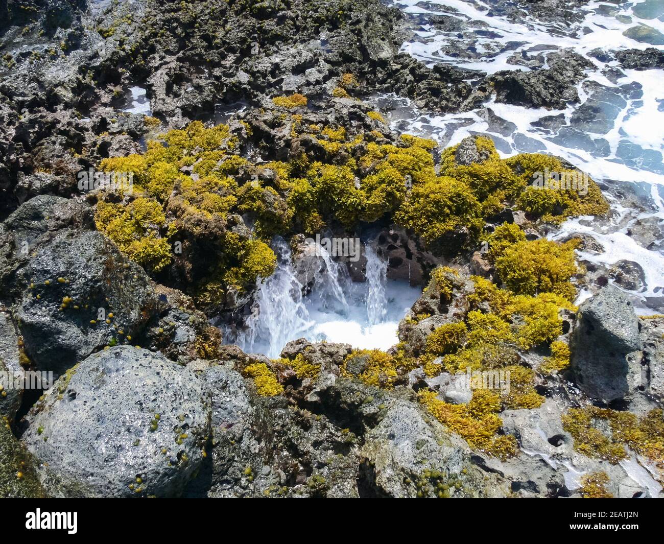 Shallow reefs hi-res stock photography and images - Alamy