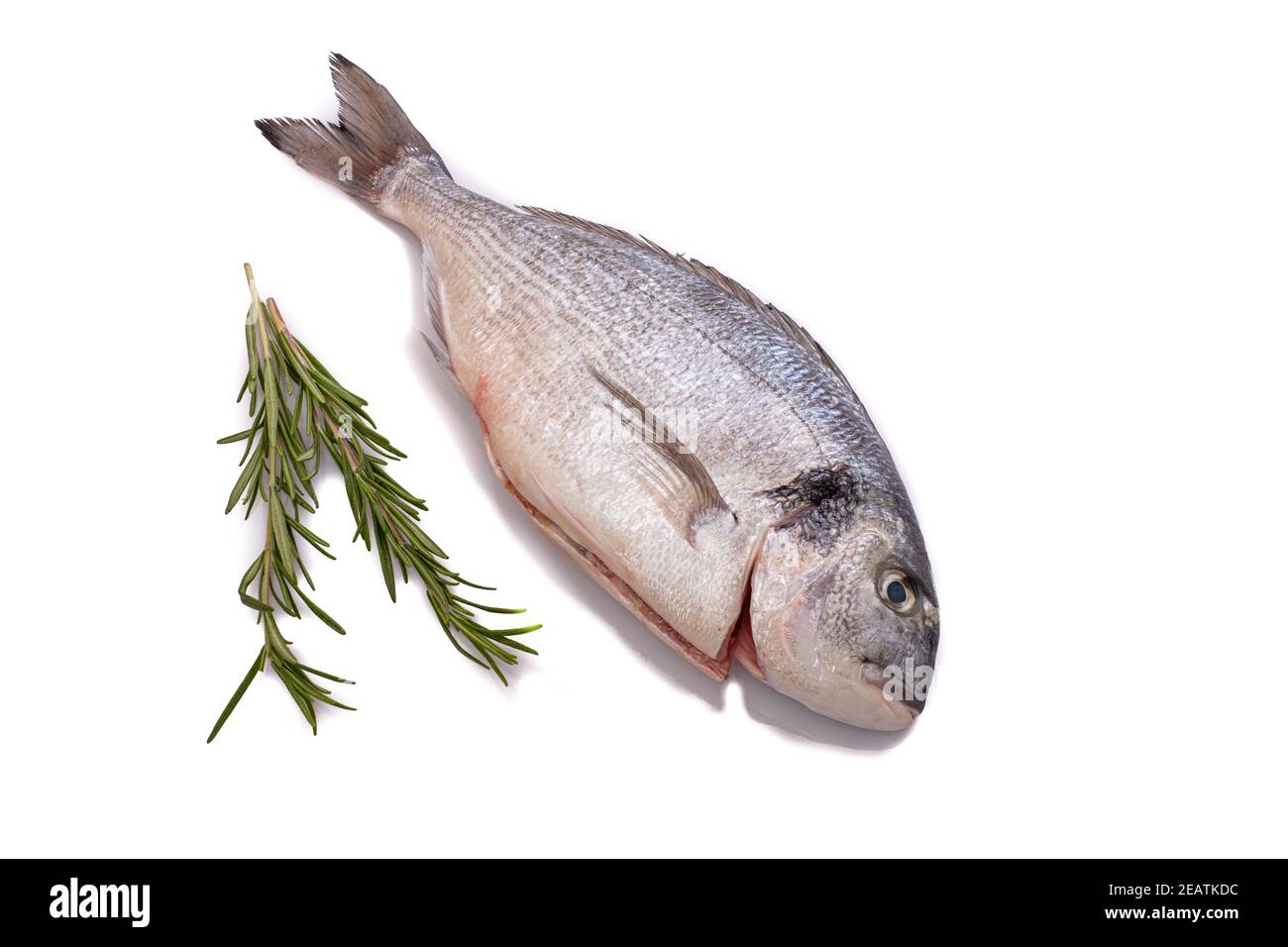 Goldfish from above hi-res stock photography and images - Alamy