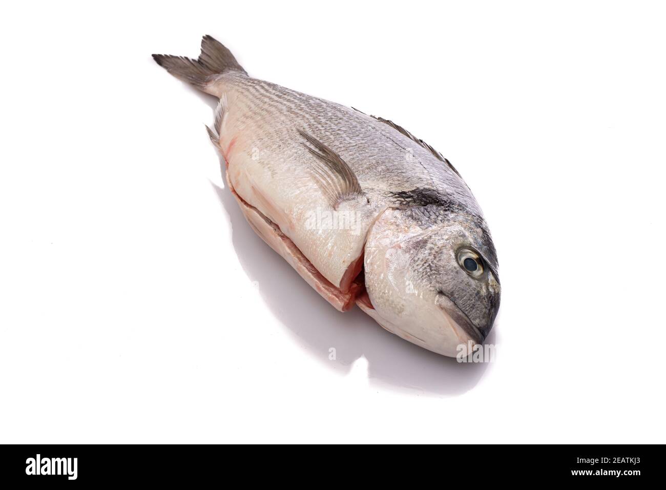Fish cut out Cut Out Stock Images & Pictures - Alamy