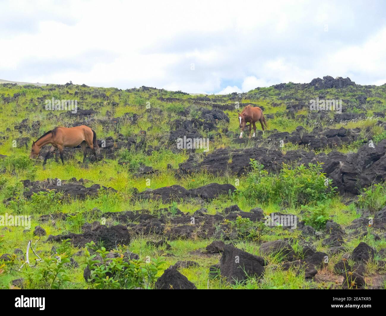 Orongo, the relevance of Easter Island Stock Photo - Alamy