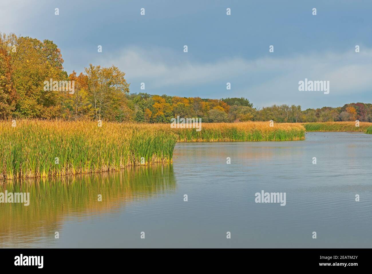 Fall Colors on a Quiet Wetland Stock Photo - Alamy