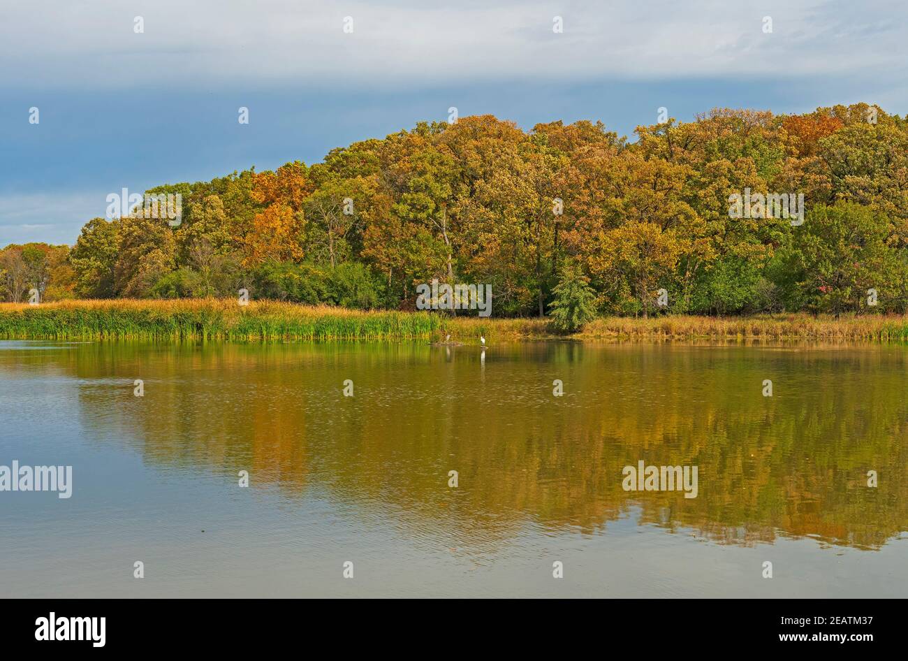 Illinois fall colors hi-res stock photography and images - Alamy