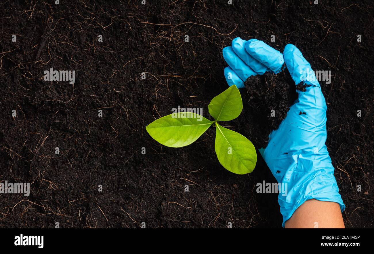 Hand of researcher woman holding compost fertile black soil Stock Photo ...