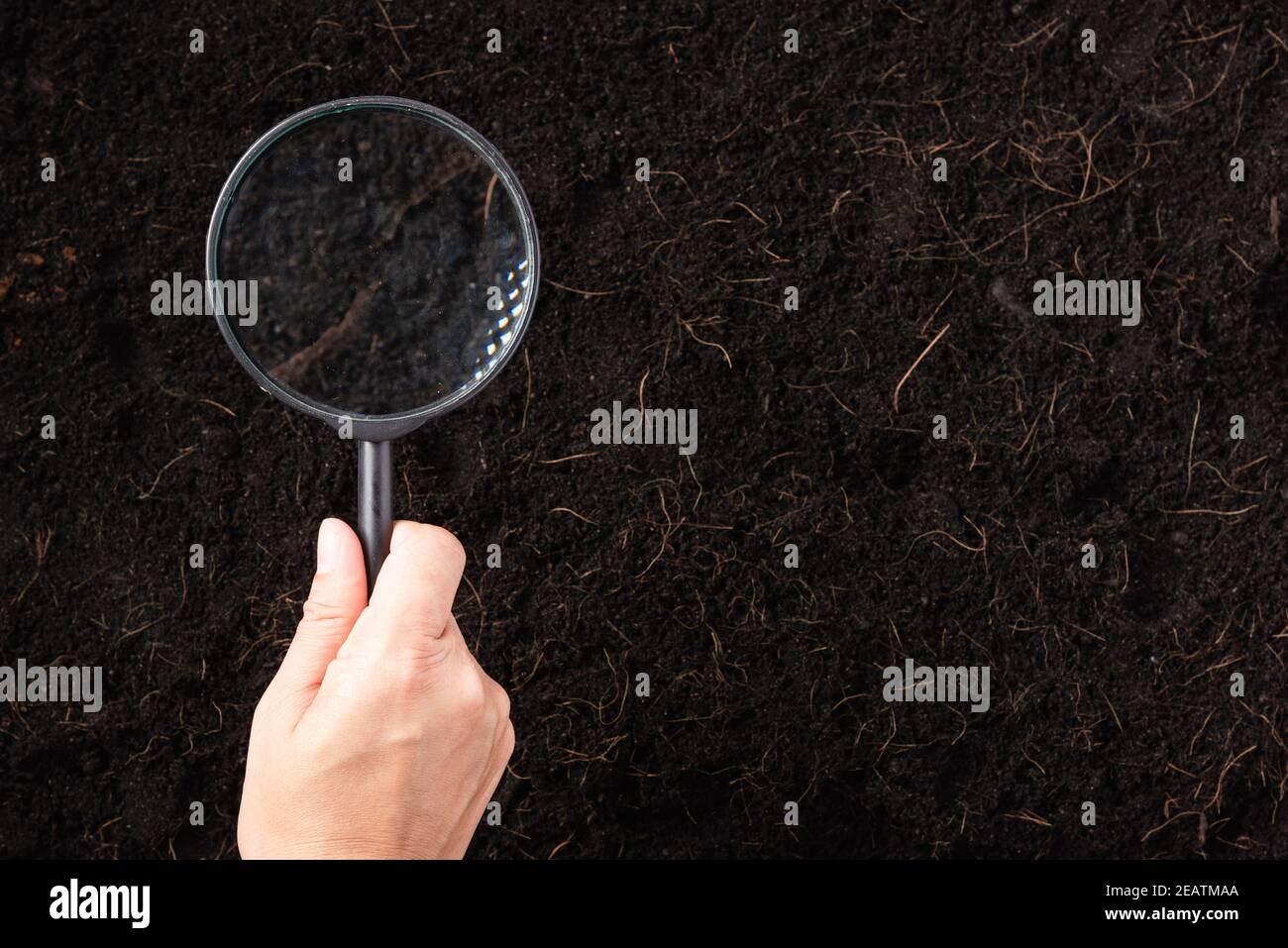 hand of researcher woman holding a magnifying glass on black soil Stock ...