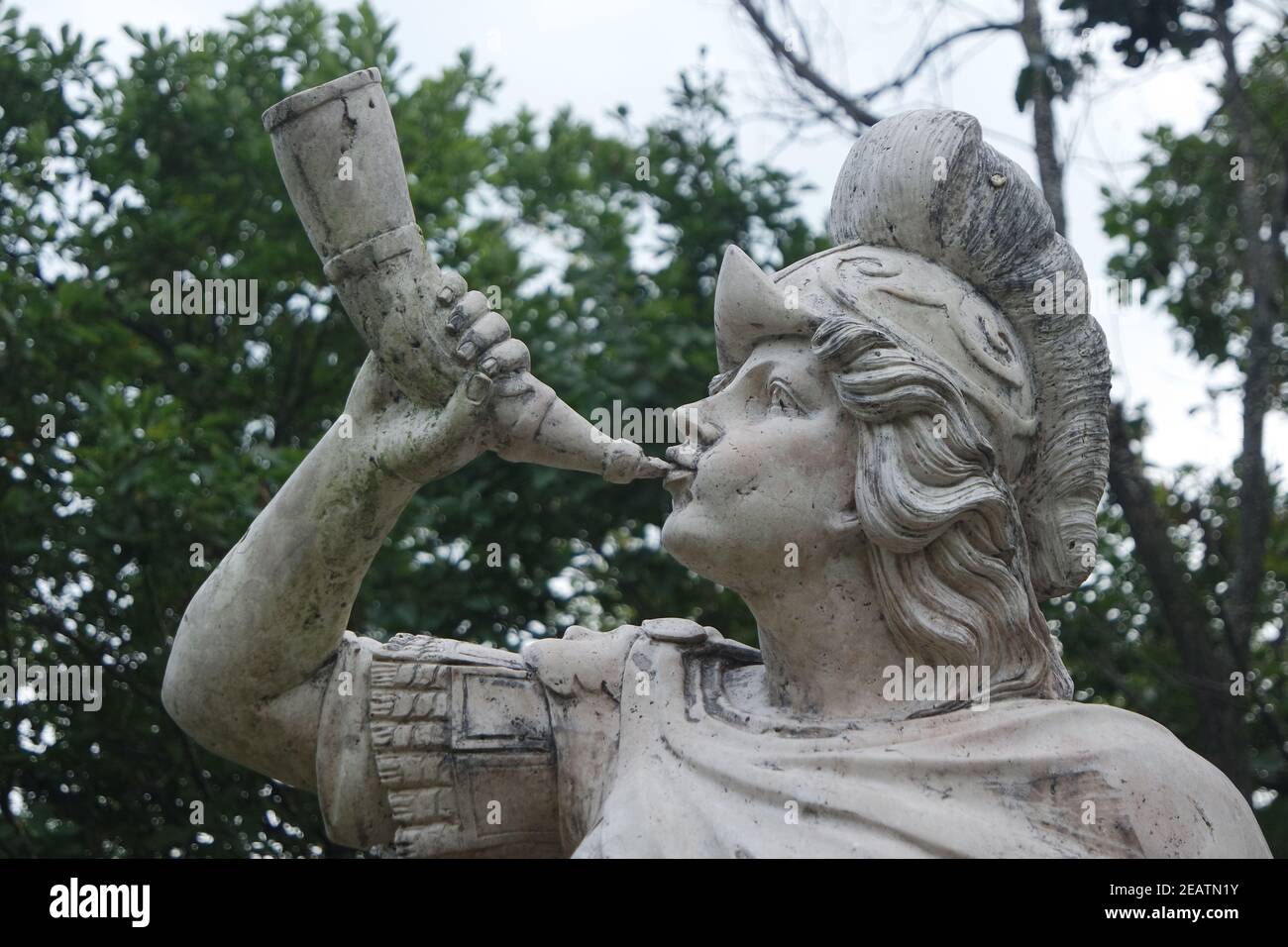 Conch Shell Triton High Resolution Stock Photography and Images - Alamy