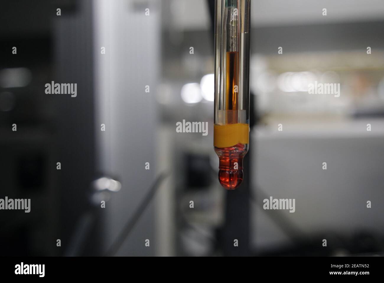 Close-up view of pH meter, a device for measuring pH in a chemical ...