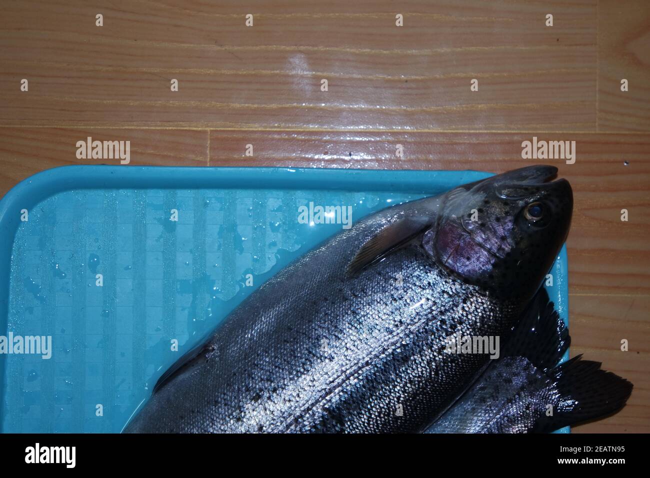 Silver Markings High Resolution Stock Photography and Images - Alamy