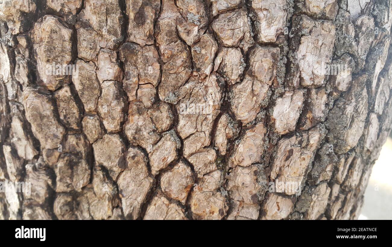 Macro close up texture for background and texture Stock Photo - Alamy