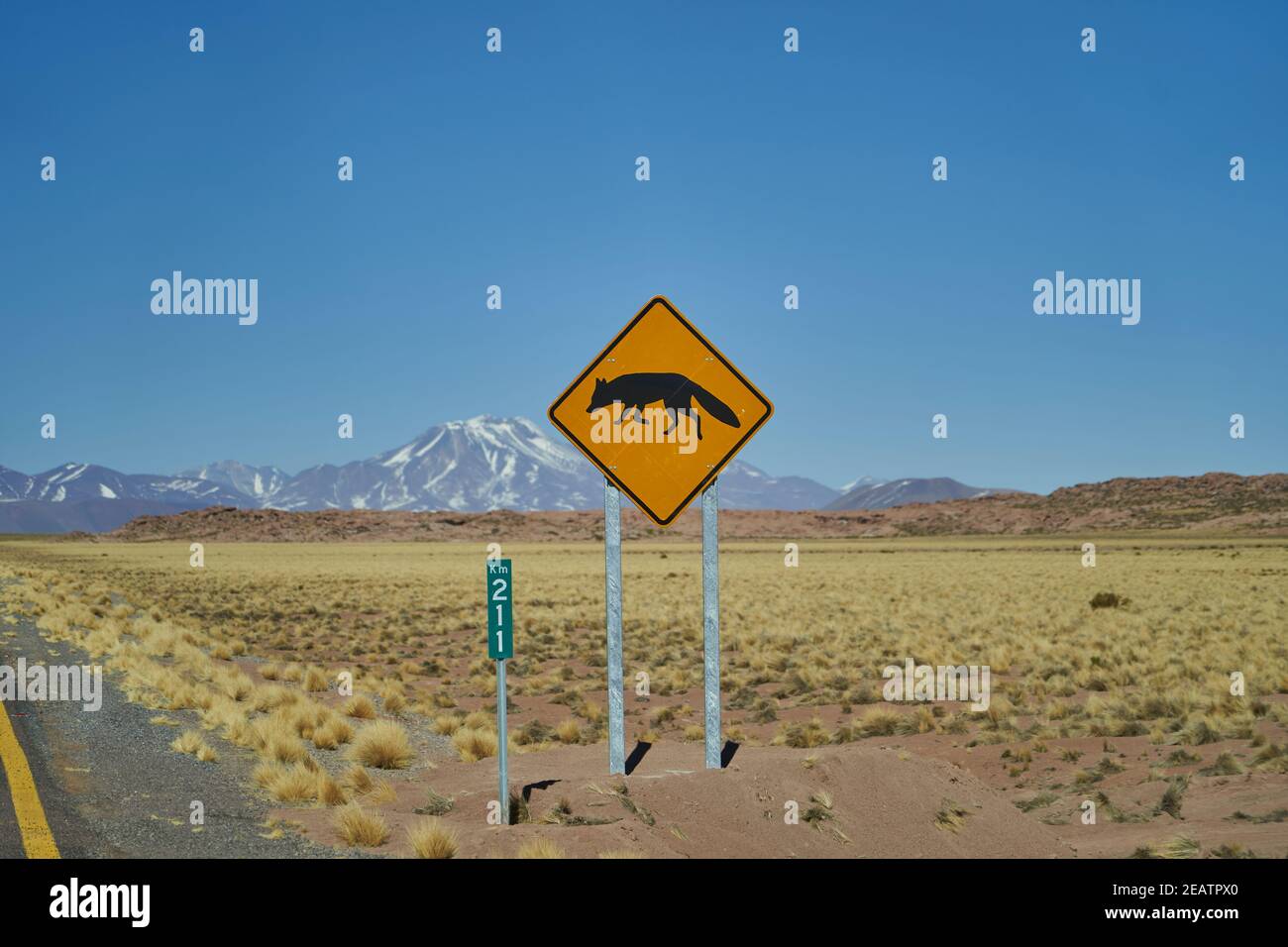 Coyote and road sign hi-res stock photography and images - Alamy