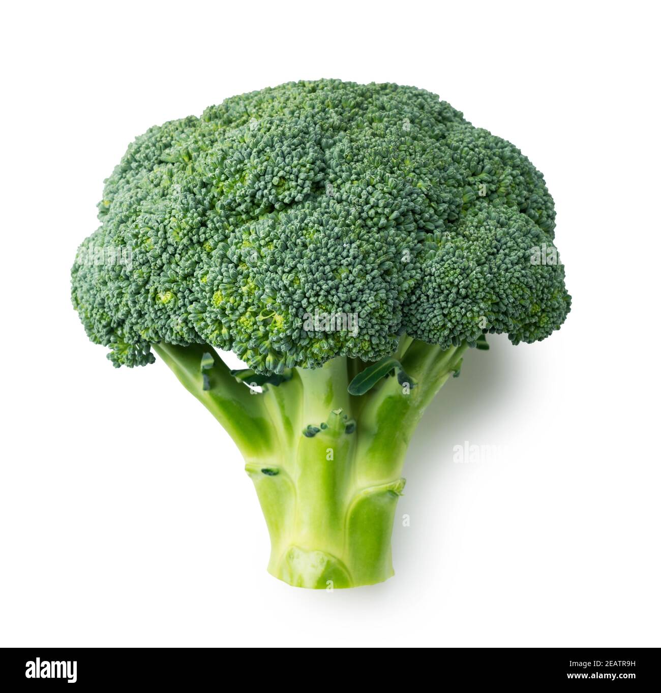 Close up broccoli placed Cut Out Stock Images & Pictures - Alamy