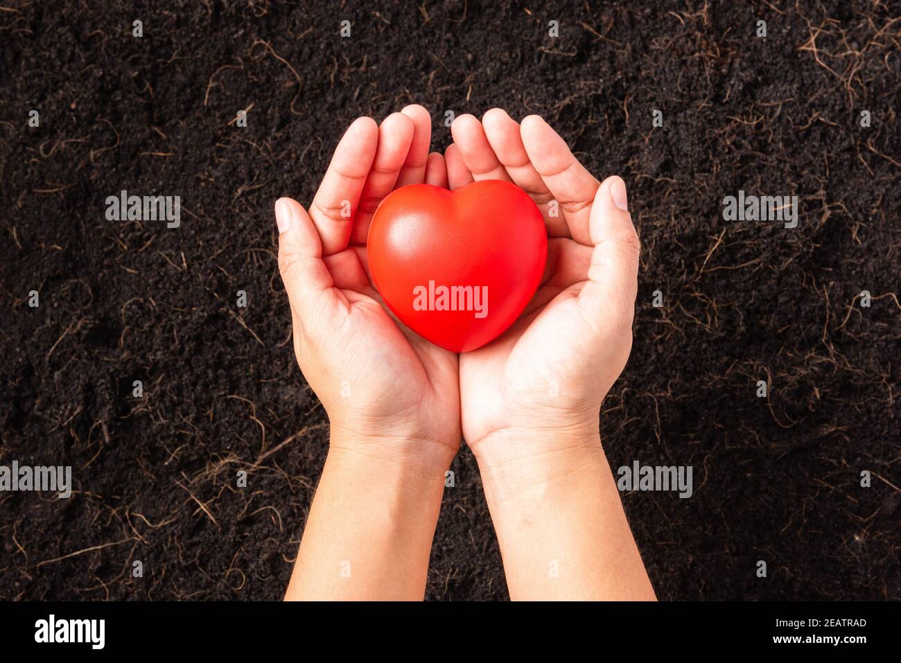 Fertile red soil hi-res stock photography and images - Alamy