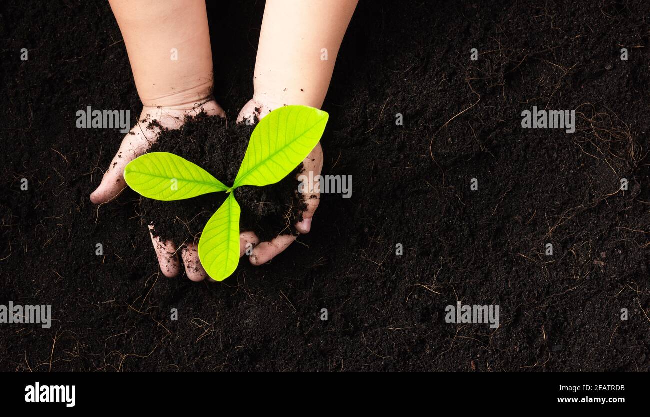 Black child planting tree hi-res stock photography and images - Alamy