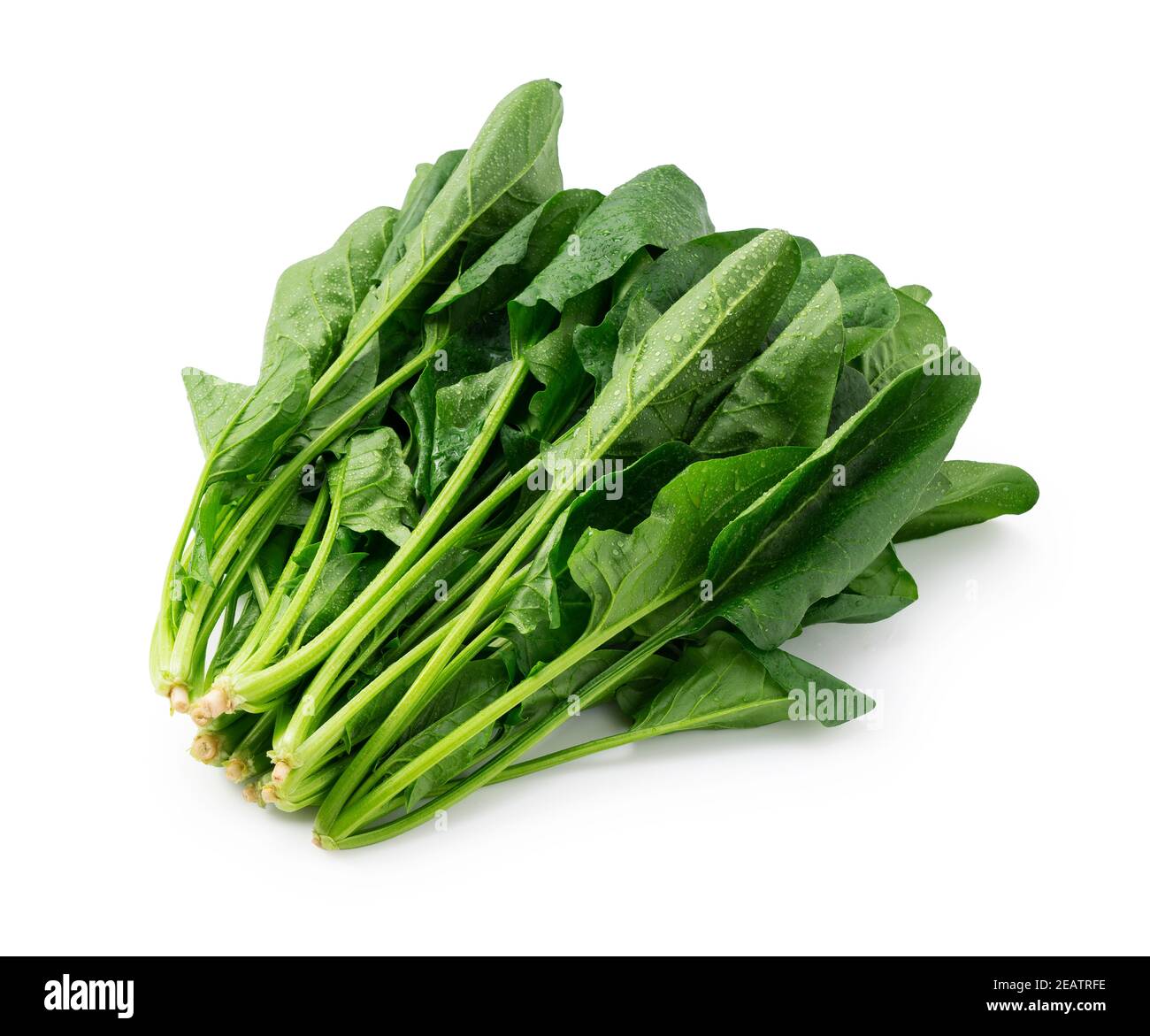 Wet spinach hi-res stock photography and images - Alamy