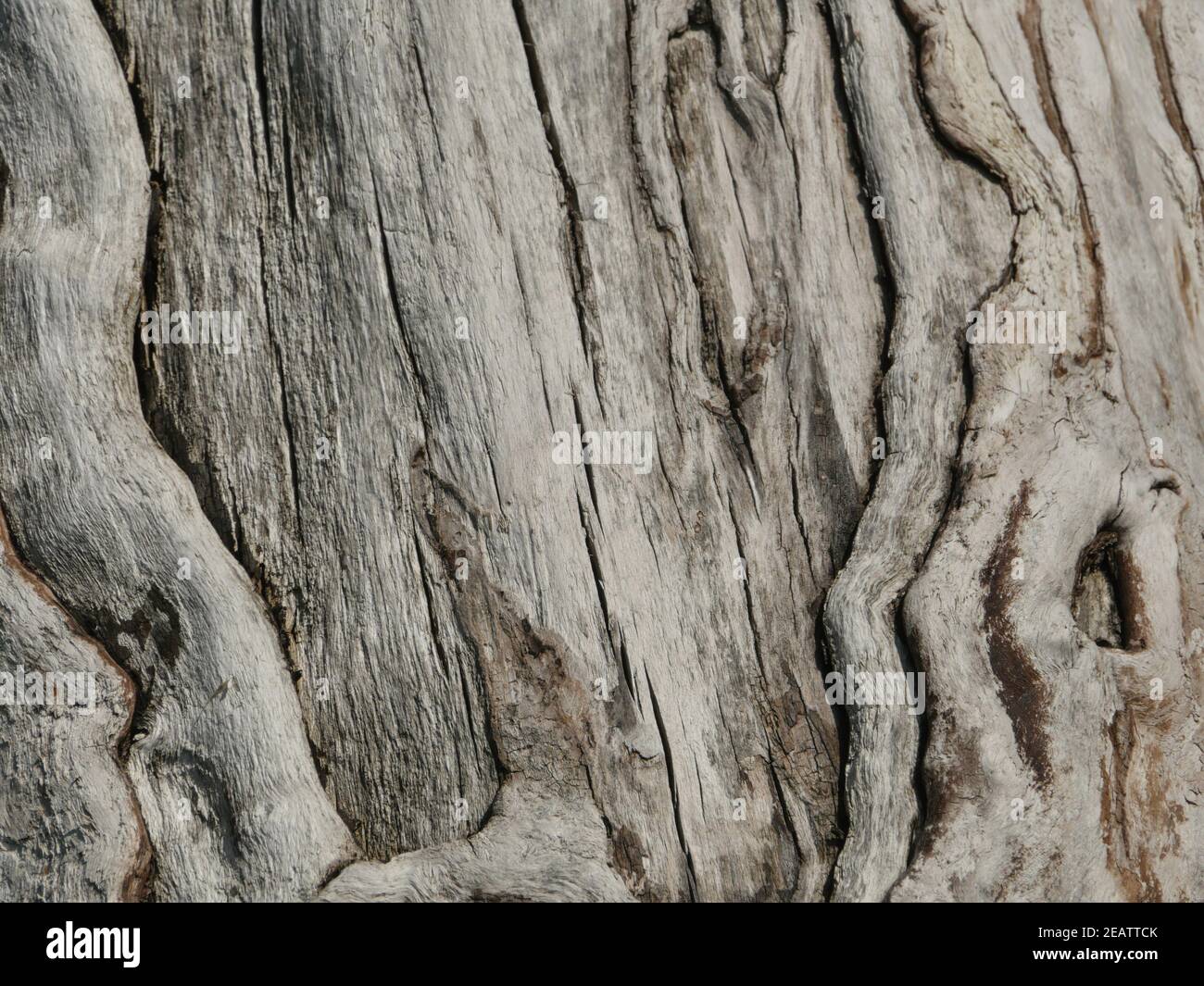 wood dry cracked background Stock Photo - Alamy