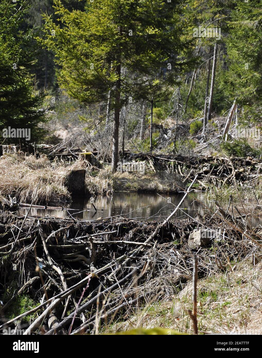 Pent up hi-res stock photography and images - Alamy