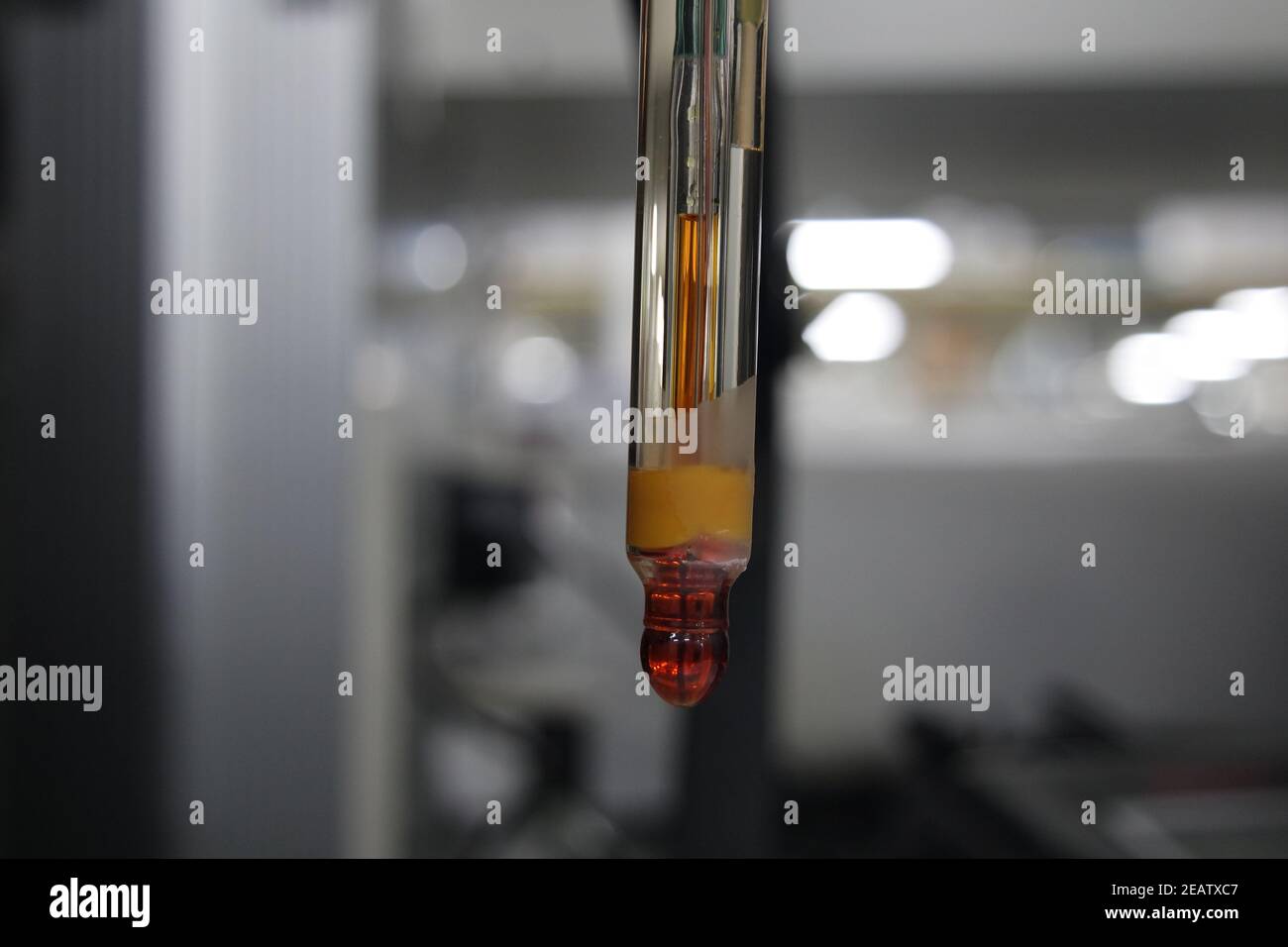 Close-up view of pH meter, a device for measuring pH n a chemical ...