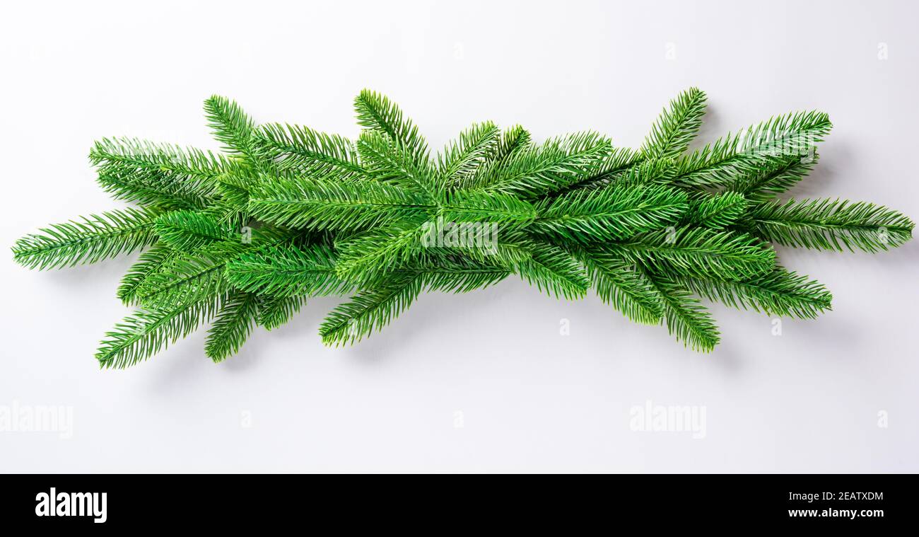Tree border hi-res stock photography and images - Alamy