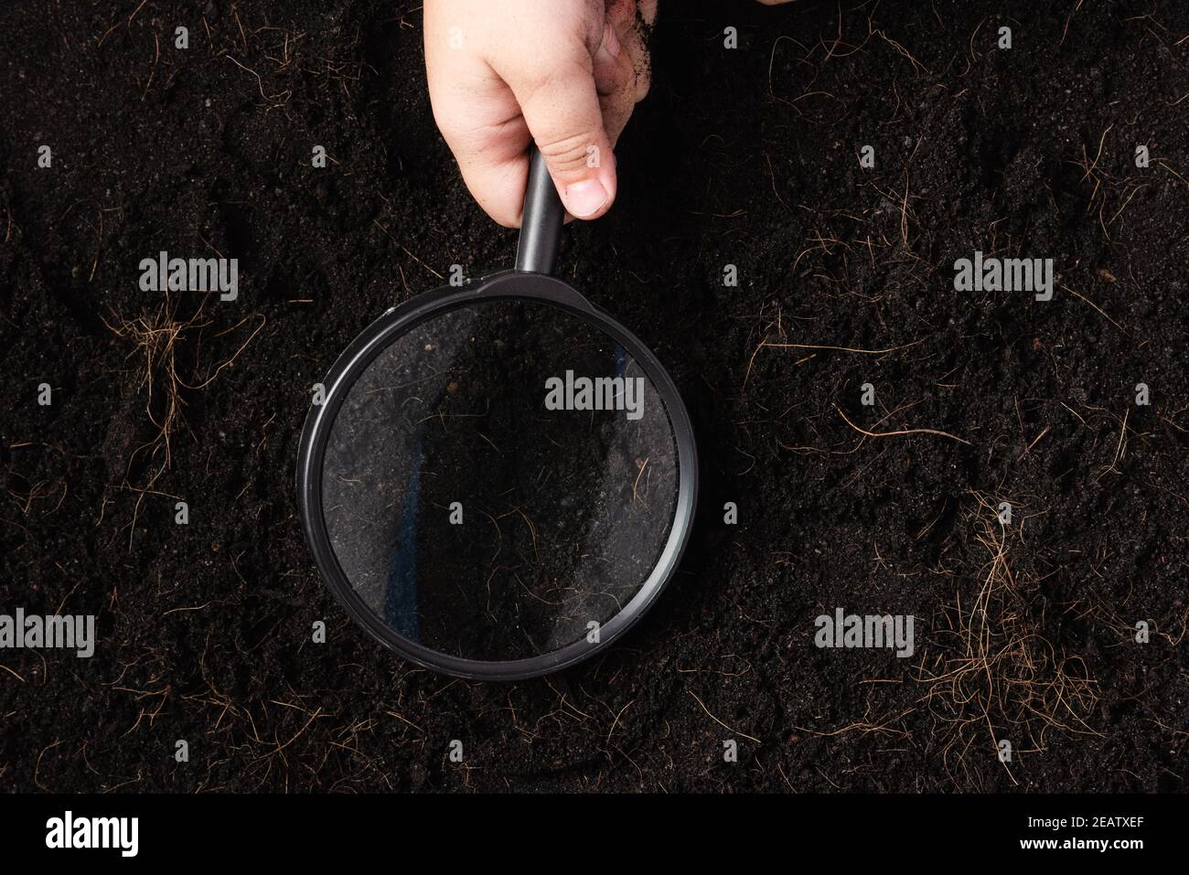 Plant dry soil lab hi-res stock photography and images - Alamy