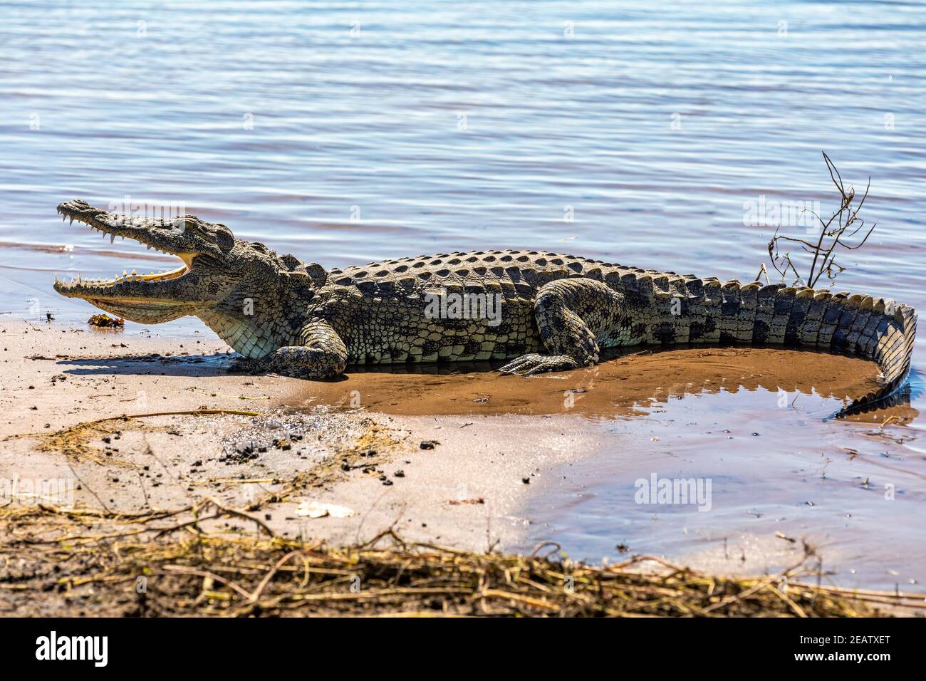 Nile river mouth hi-res stock photography and images - Alamy