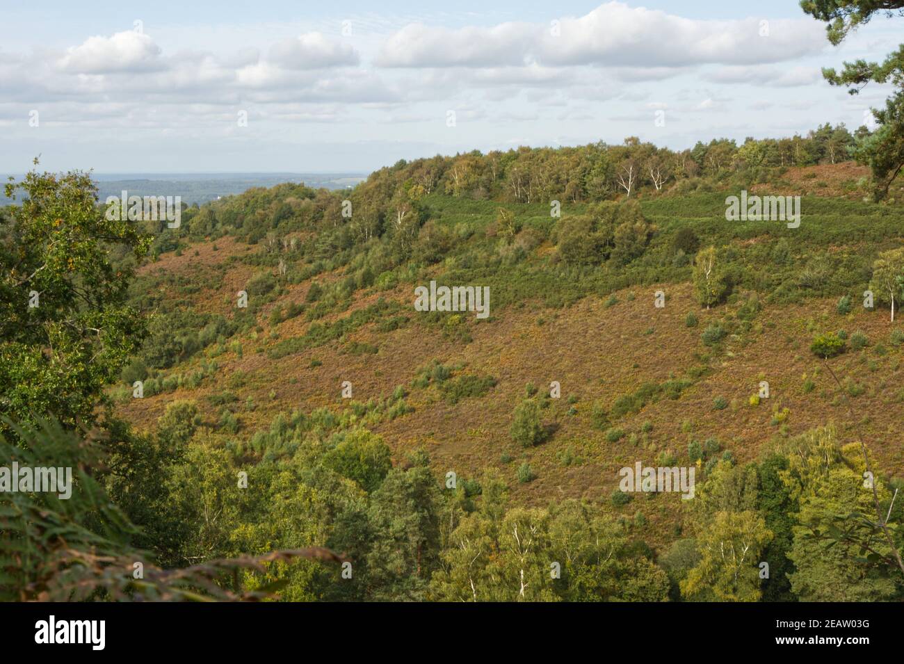 Surrey countryside hi-res stock photography and images - Alamy