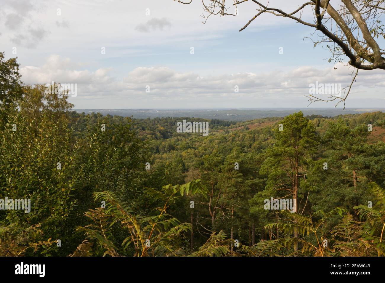 Hindhead surrey hi-res stock photography and images - Alamy