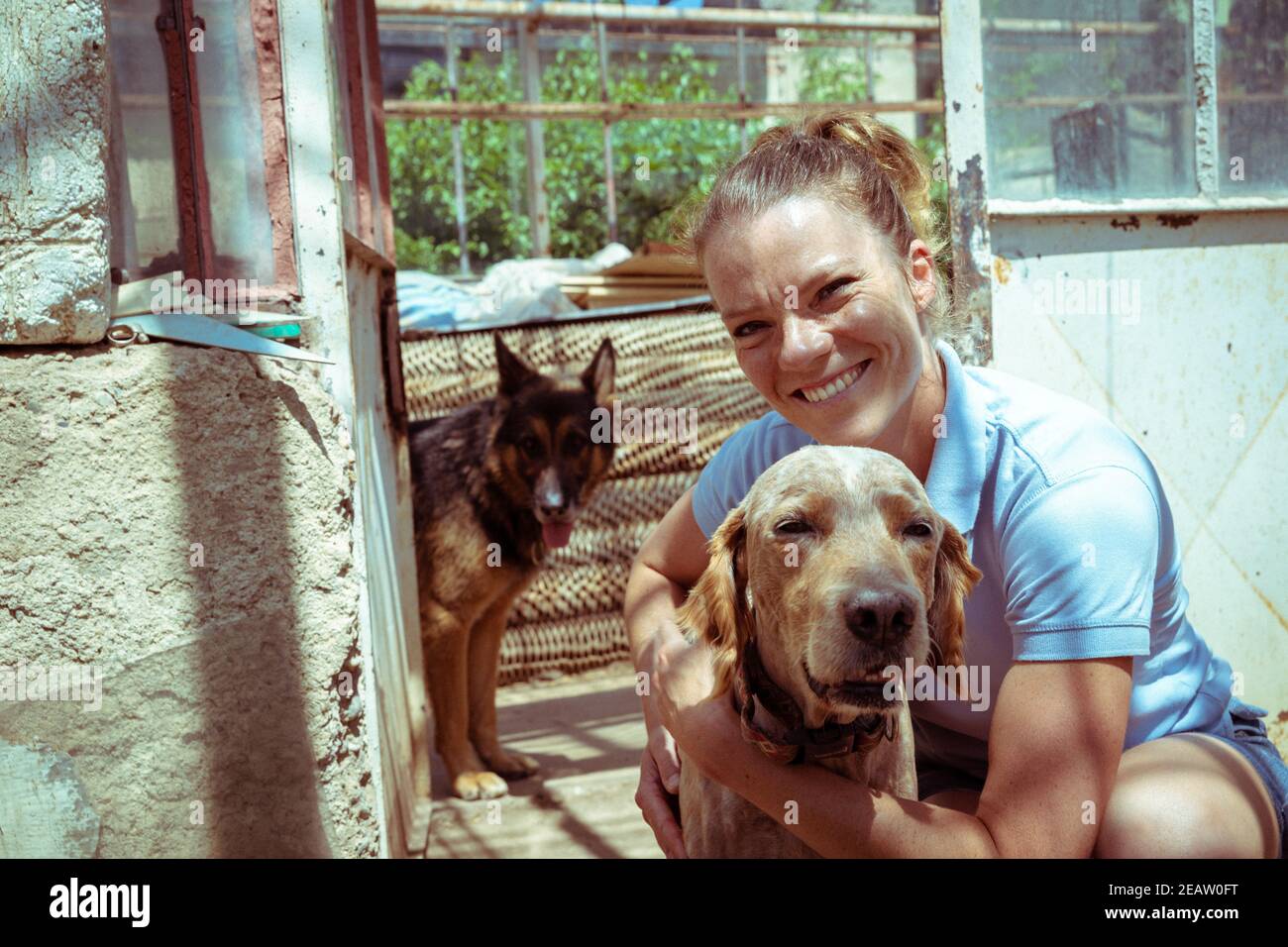 Dog love person hi-res stock photography and images - Alamy