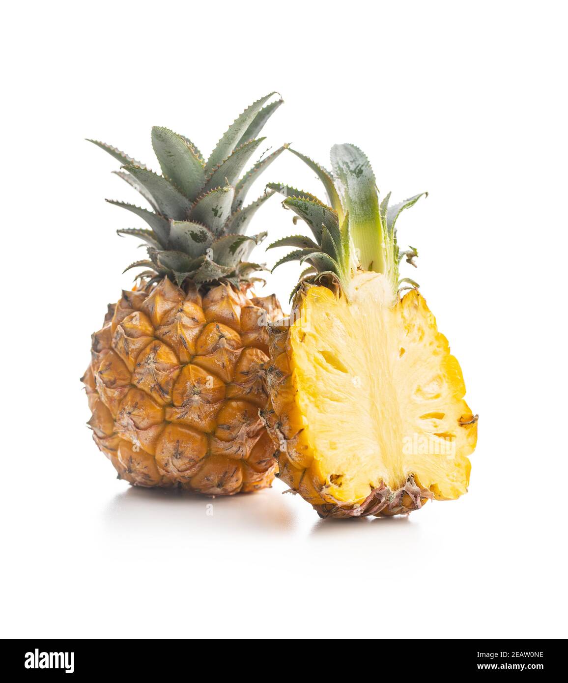 Baby pineapple plant Cut Out Stock Images & Pictures - Alamy